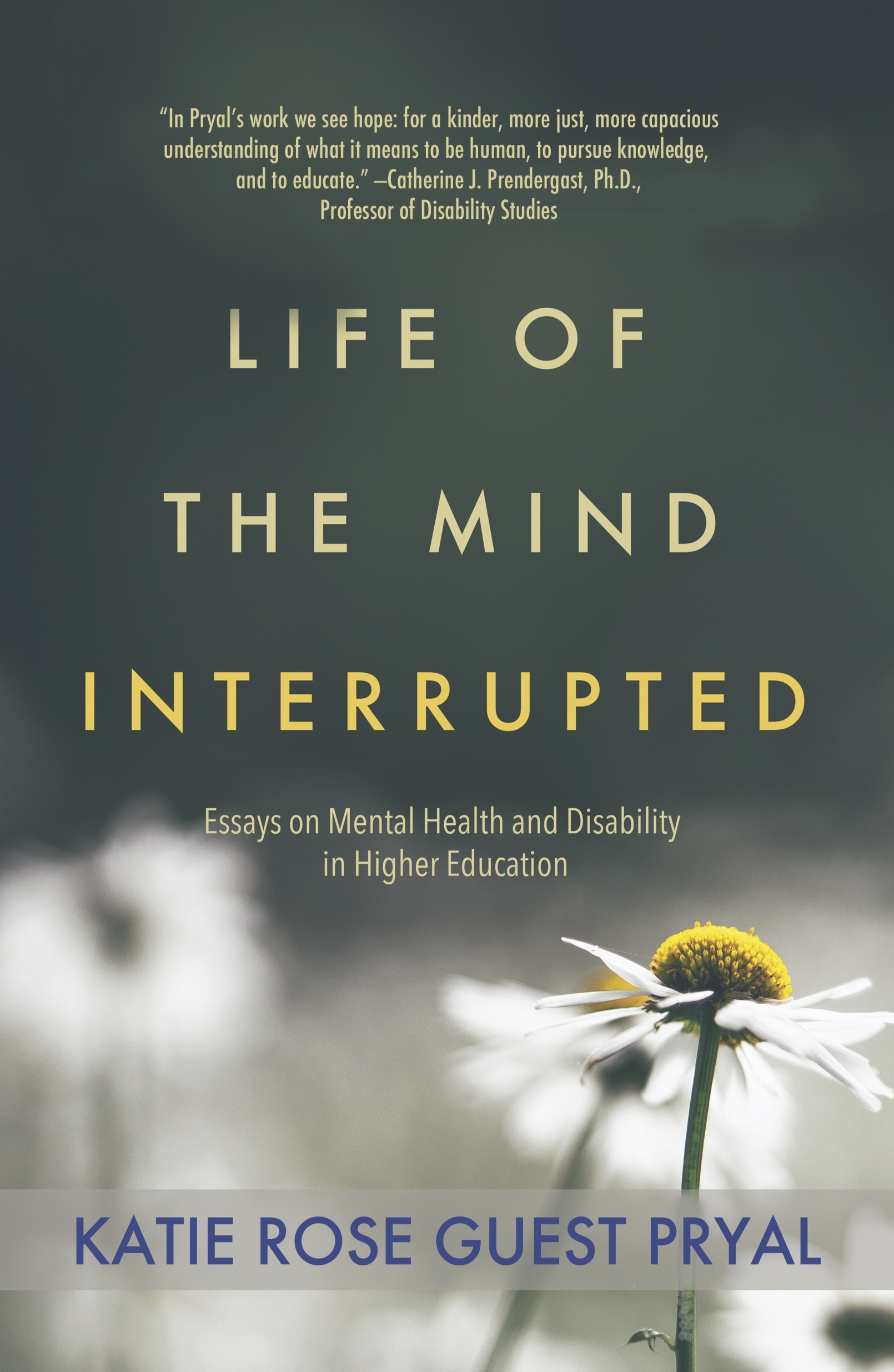 Life of the Mind Interrupted: Essays on Mental Health and Disability in ...