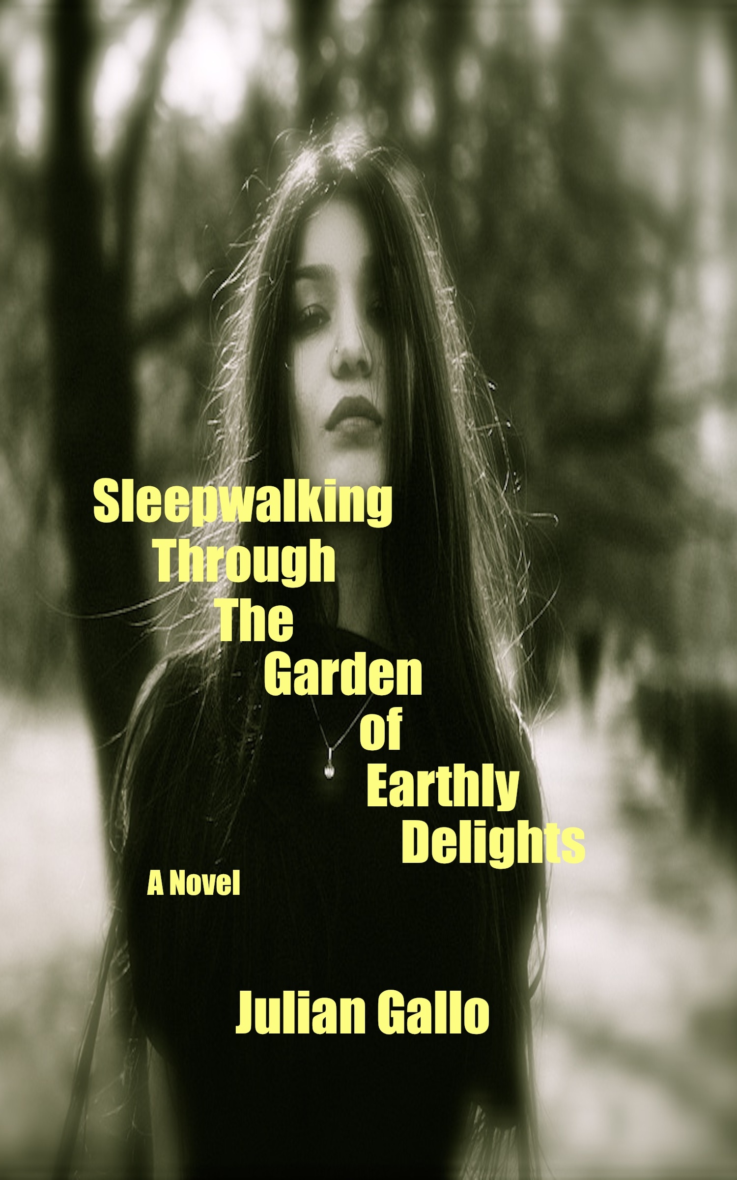 Sleepwalking Through The Garden of Earthly Delights by Julian Gallo | Goodreads