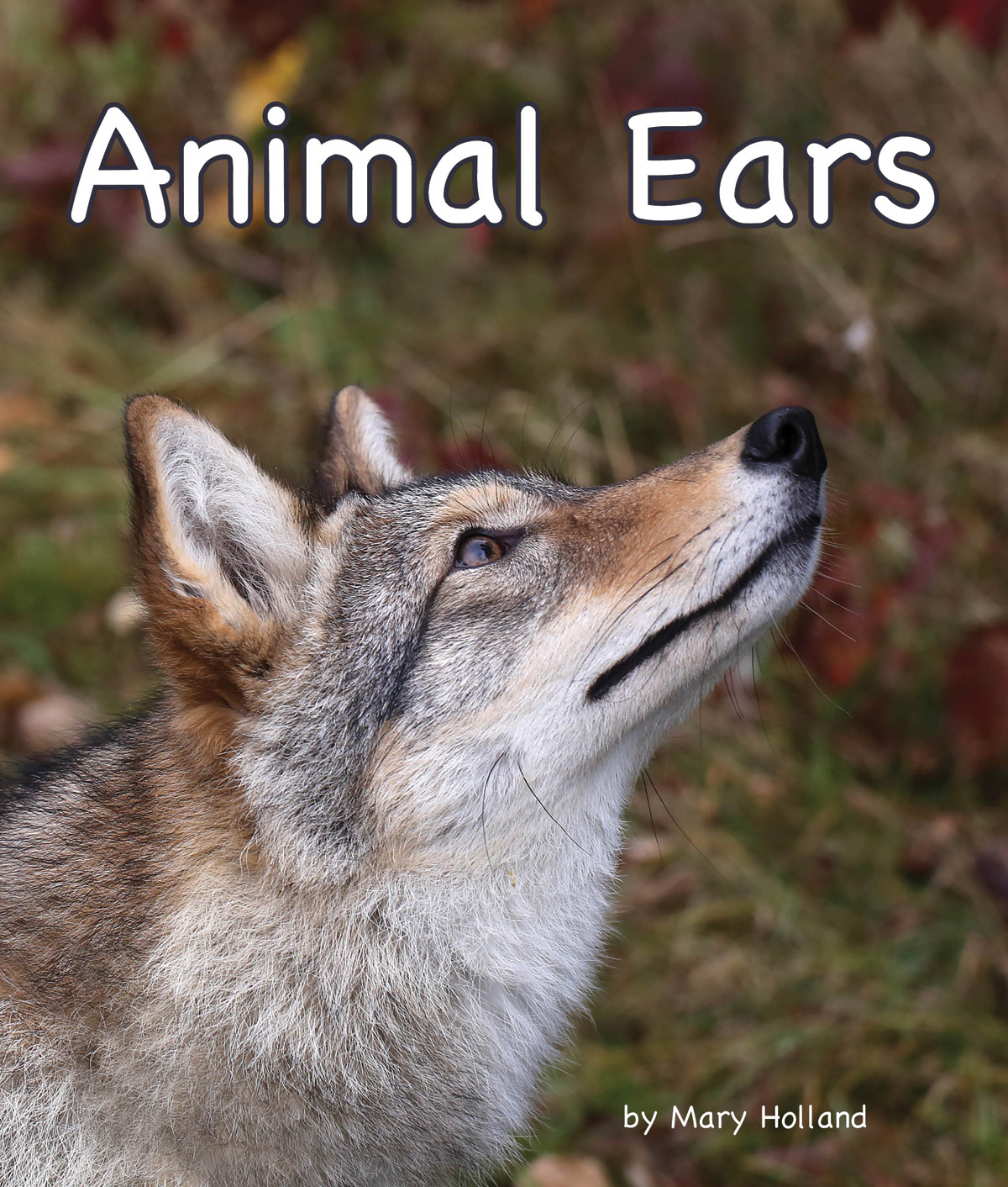 Animal Ears (Physical & Behavioral Adaptation) by Mary Holland | Goodreads