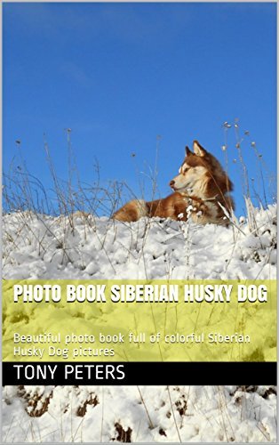 Photo Book Siberian Husky Dog: Beautiful photo book full of colorful ...