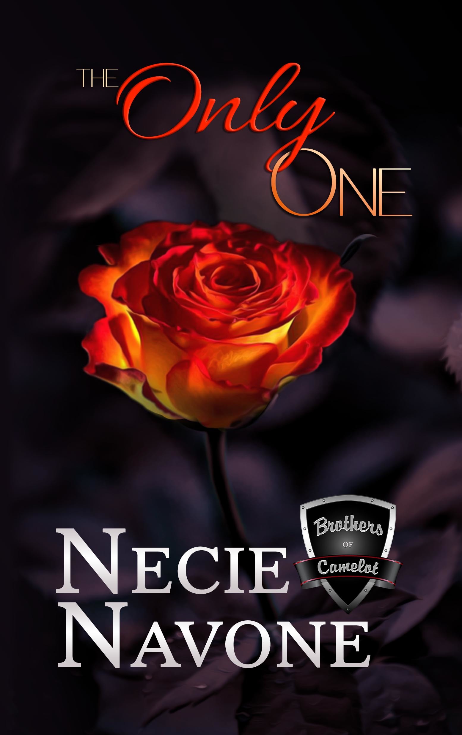 The Only One (Brothers of Camelot #1) by Necie Navone | Goodreads