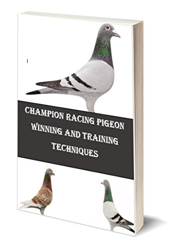 RACING PIGEON WINNING AND TRAINING TECHNIQUES: Racing Pigeon Books by ...
