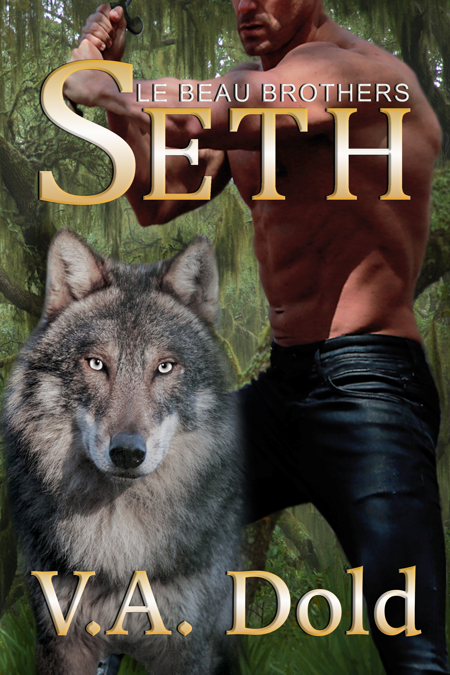 Seth (Le Beau Brothers, #7) by V.A. Dold | Goodreads