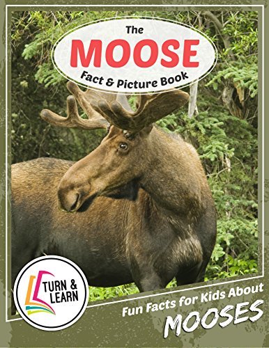 The Moose Fact and Picture Book: Fun Facts for Kids About Mooses by ...