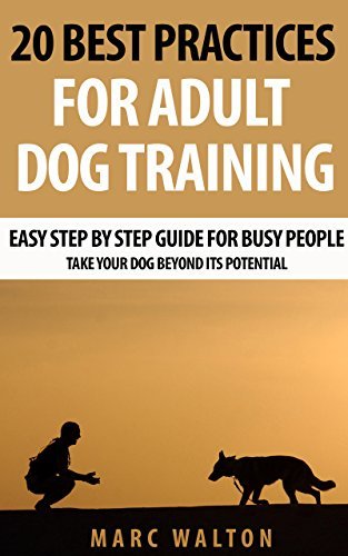 20 Best Practices for Adult Dog Training: Easy Step by Step Guide for ...