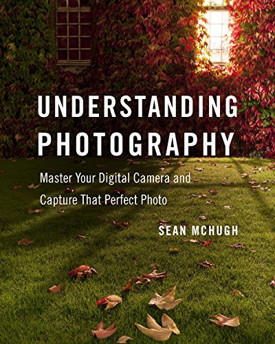 Understanding Photography: Master Your Digital Camera and Capture That ...