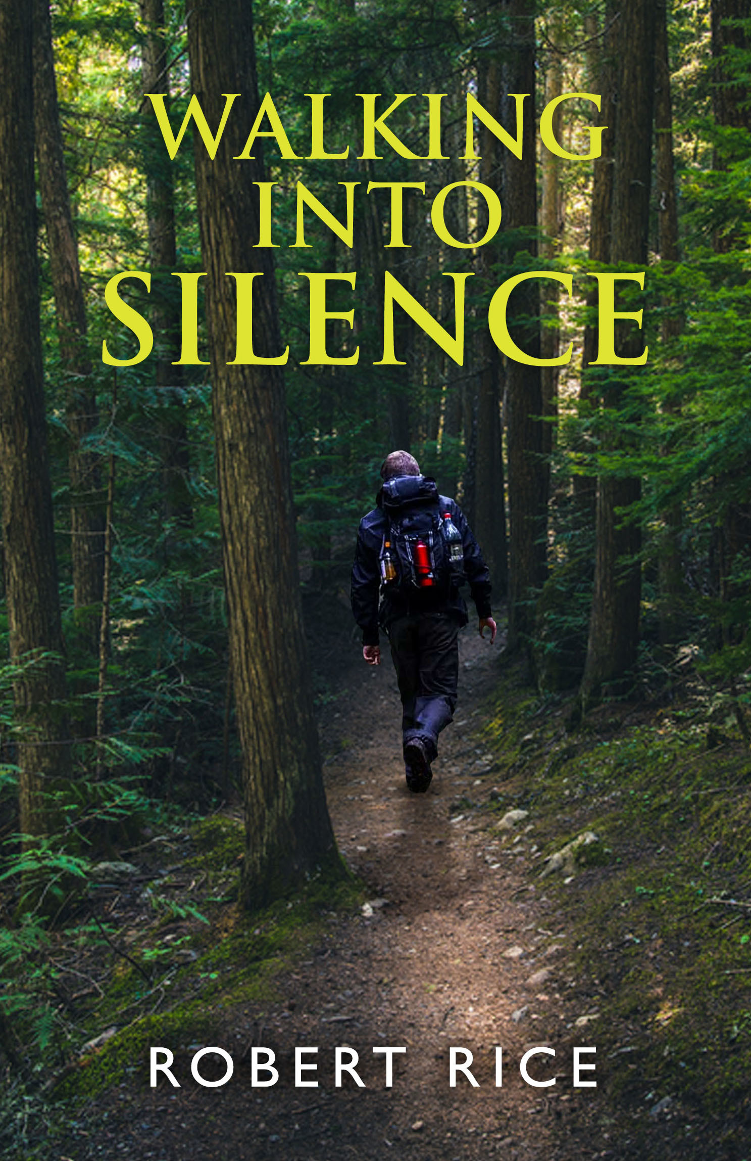 Walking into Silence by Robert Rice | Goodreads