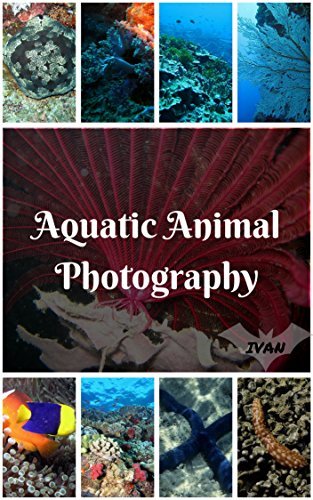Tropical Pacific Ocean Aquatic Deep Sea Animal Photography Photo Book ...