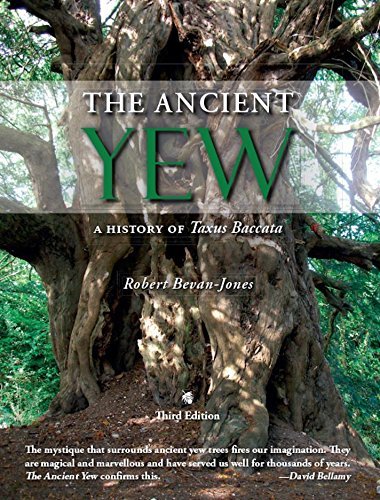 The Ancient Yew: A History of Taxus baccata by Robert Bevan-Jones ...
