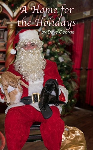 A Home for the Holidays (The Shadow Stories Book 2) by Dave George ...