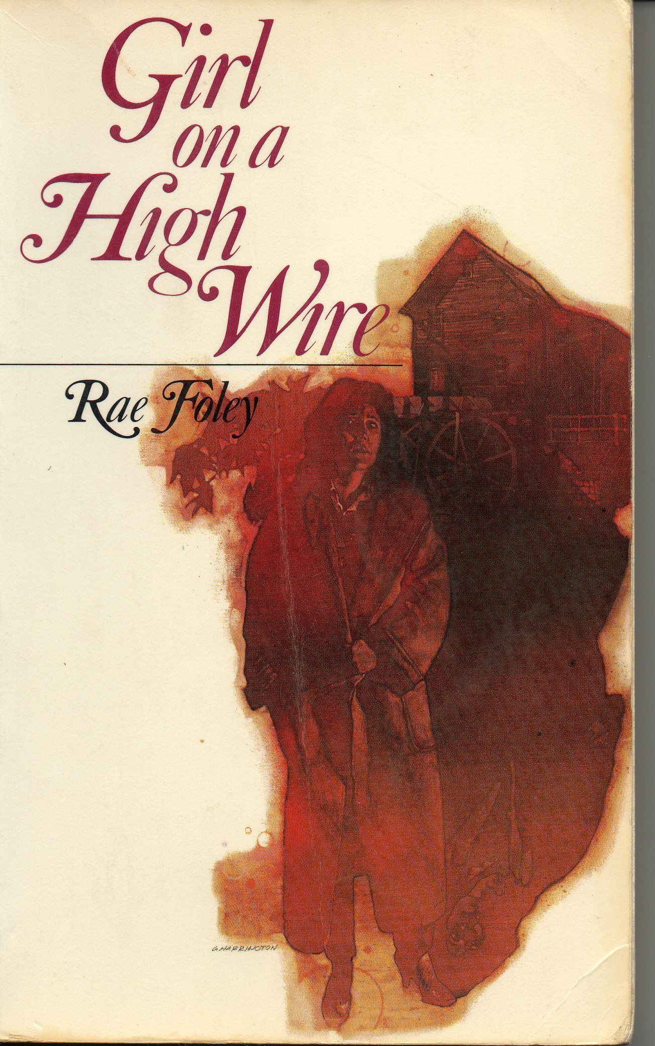 Girl on a High Wire by Rae Foley | Goodreads