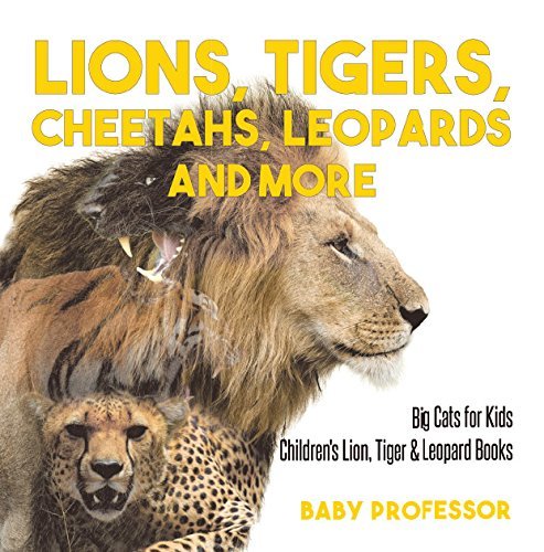 Lions, Tigers, Cheetahs, Leopards and More | Big Cats for Kids ...