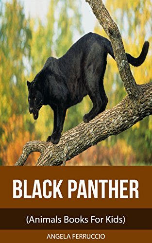 Black Panthers (Animals Books For Kids) by Angela Ferruccio | Goodreads
