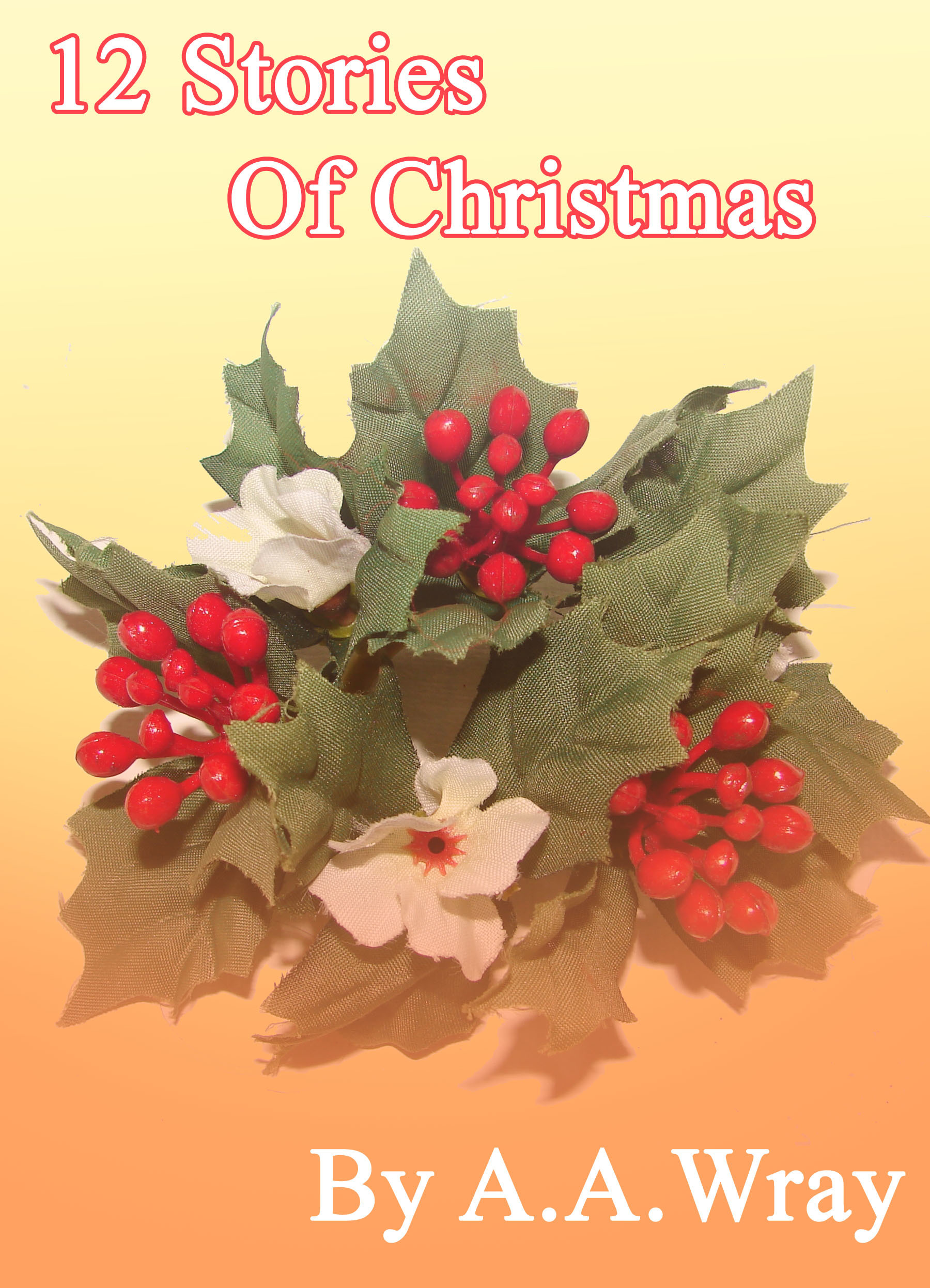 12 Stories of Christmas by A.A. Wray | Goodreads