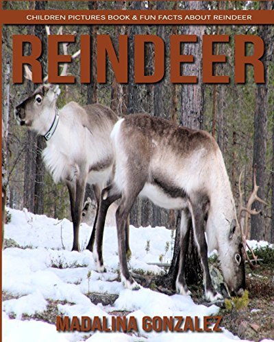 Reindeer: Children Pictures Book & Fun Facts About Reindeer by Madalina ...