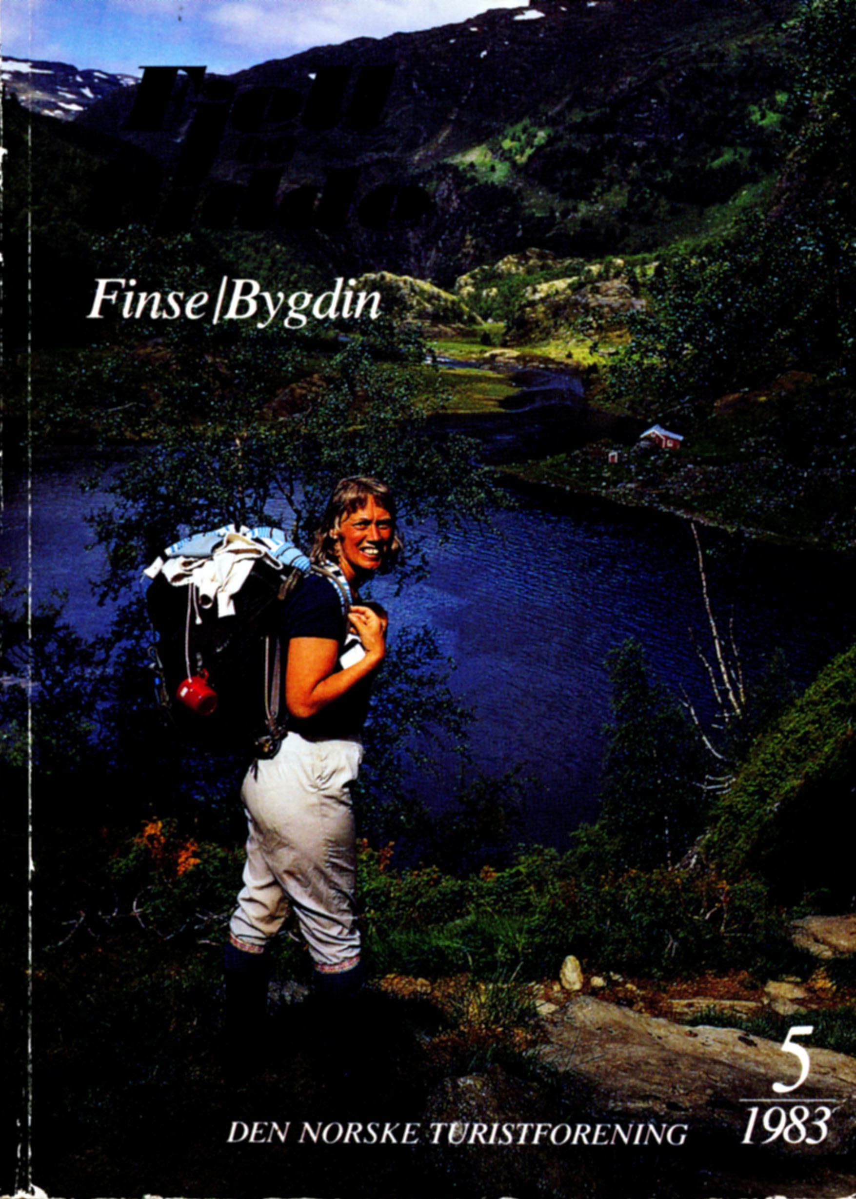 Finse/Bygdin #5 1983 (Fjell og vidde) by Den norske turistforening ...