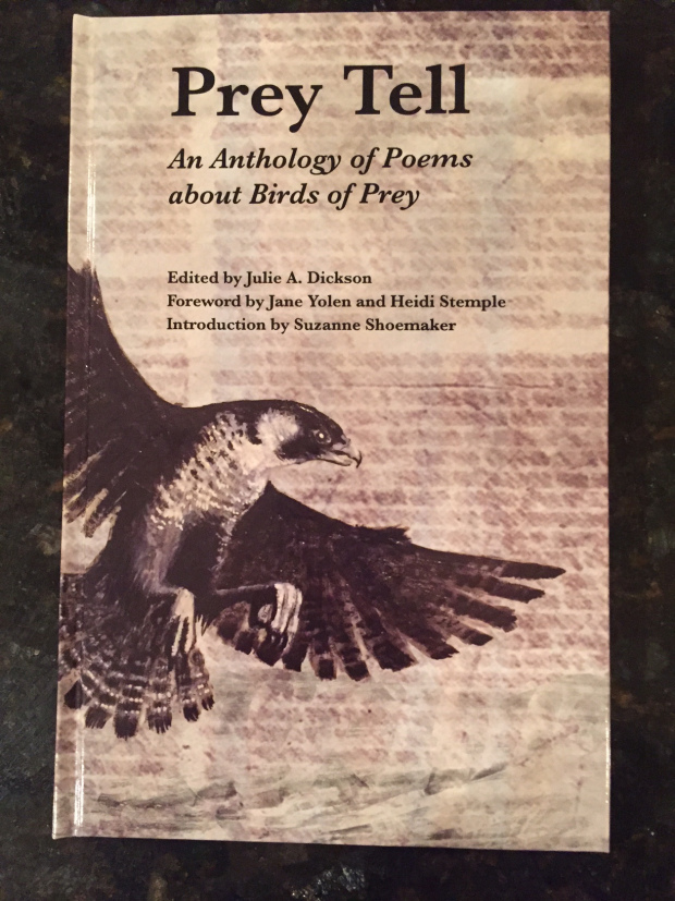 Prey Tell: An Anthology of Poems About Birds of Prey by Julie A ...