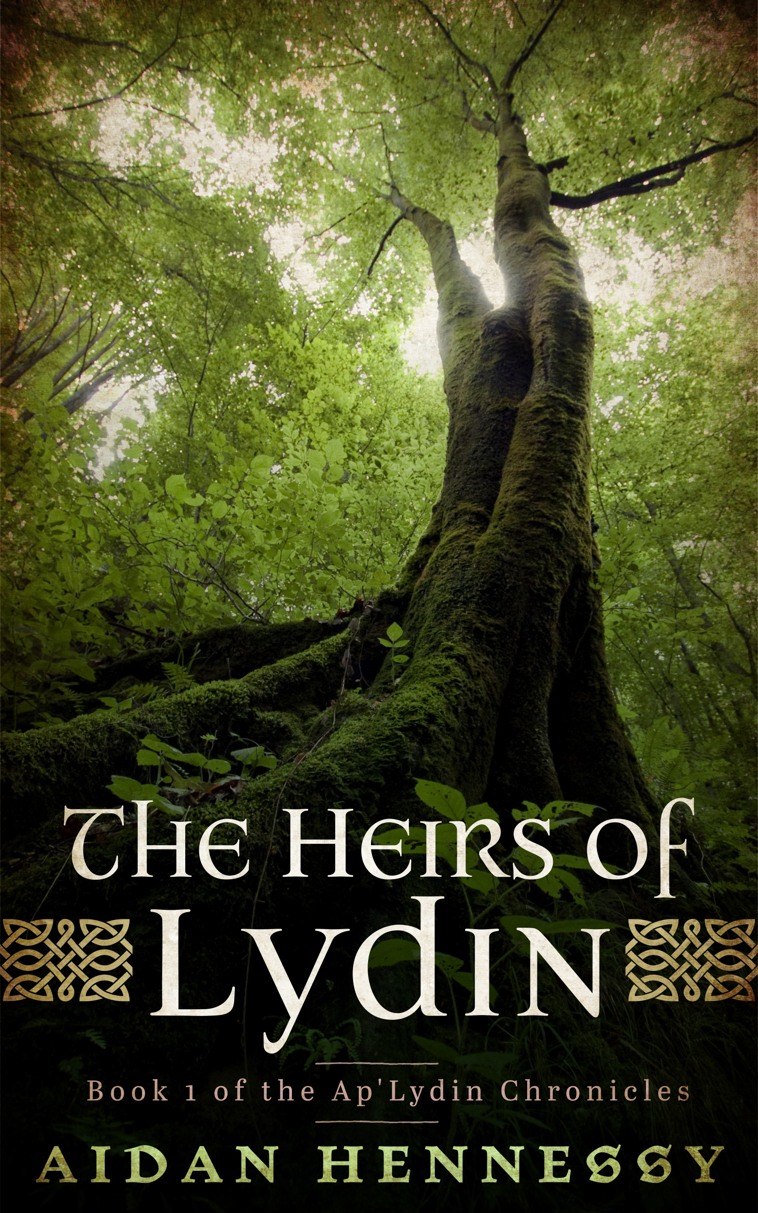 The Heirs of Lydin (The Ap'Lydin Chronicles) by Aidan Hennessy | Goodreads