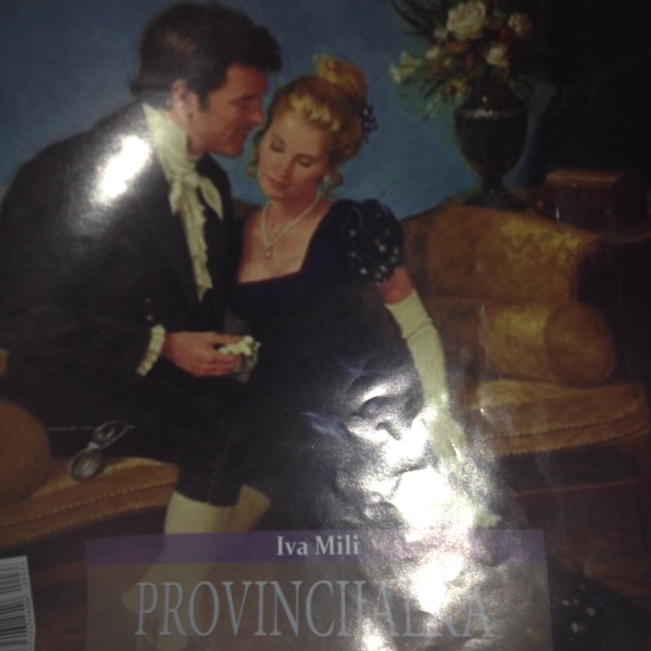 Provincijalka by Iva Mili | Goodreads