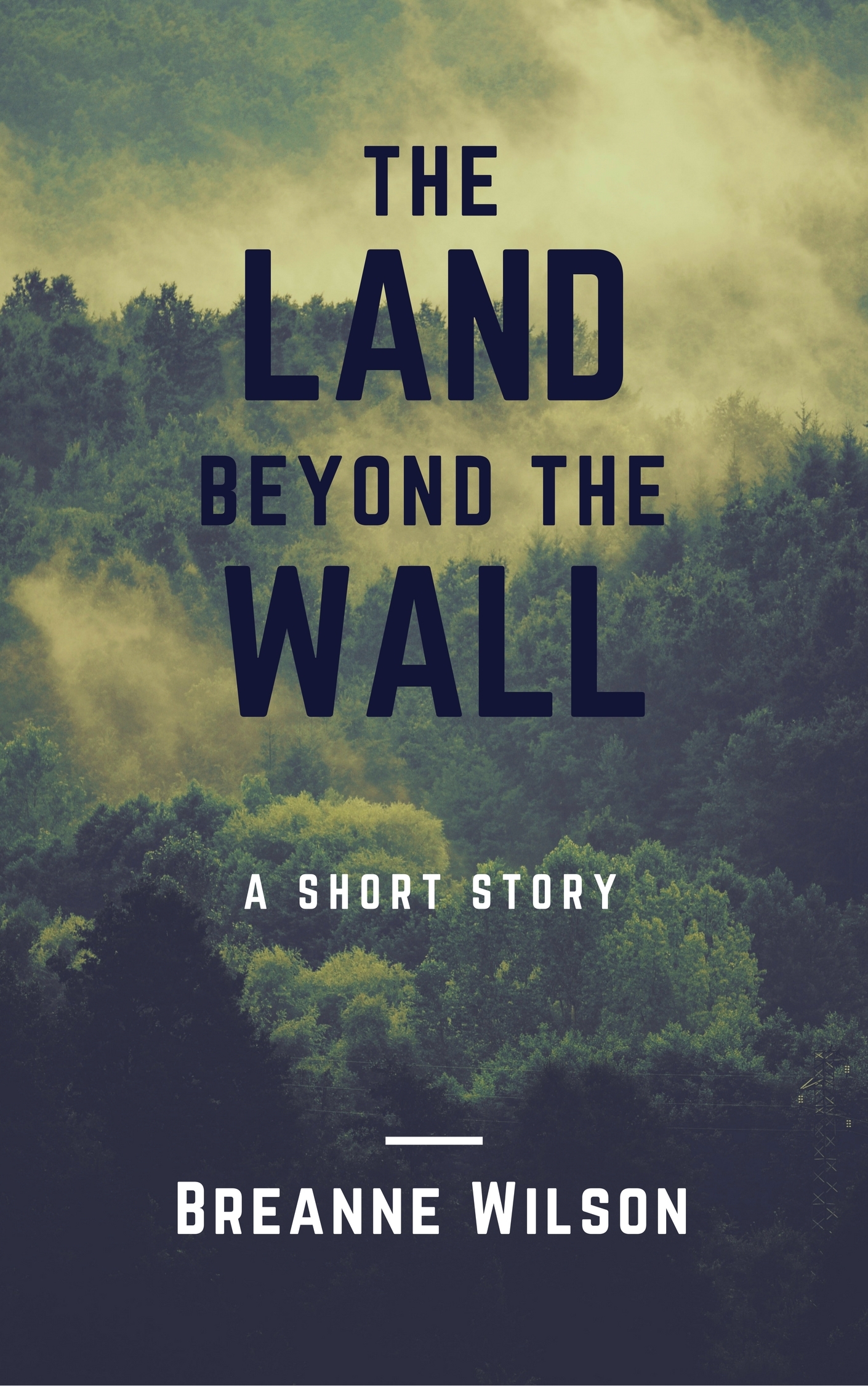 The Land Beyond the Wall by Breanne Wilson | Goodreads