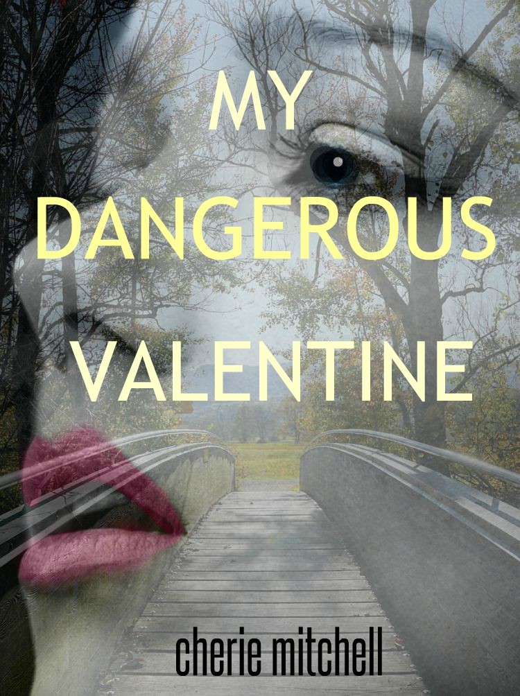 My Dangerous Valentine by Cherie Mitchell | Goodreads
