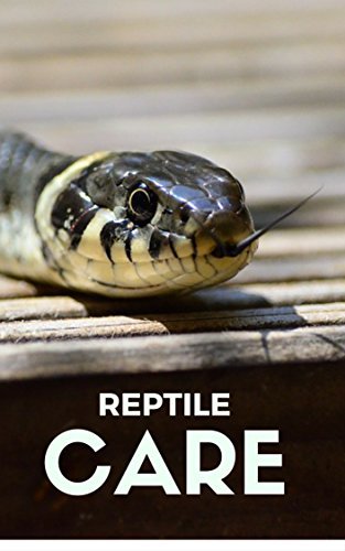 Reptile Care: Things you need to Know Basics by JSD Propierties | Goodreads