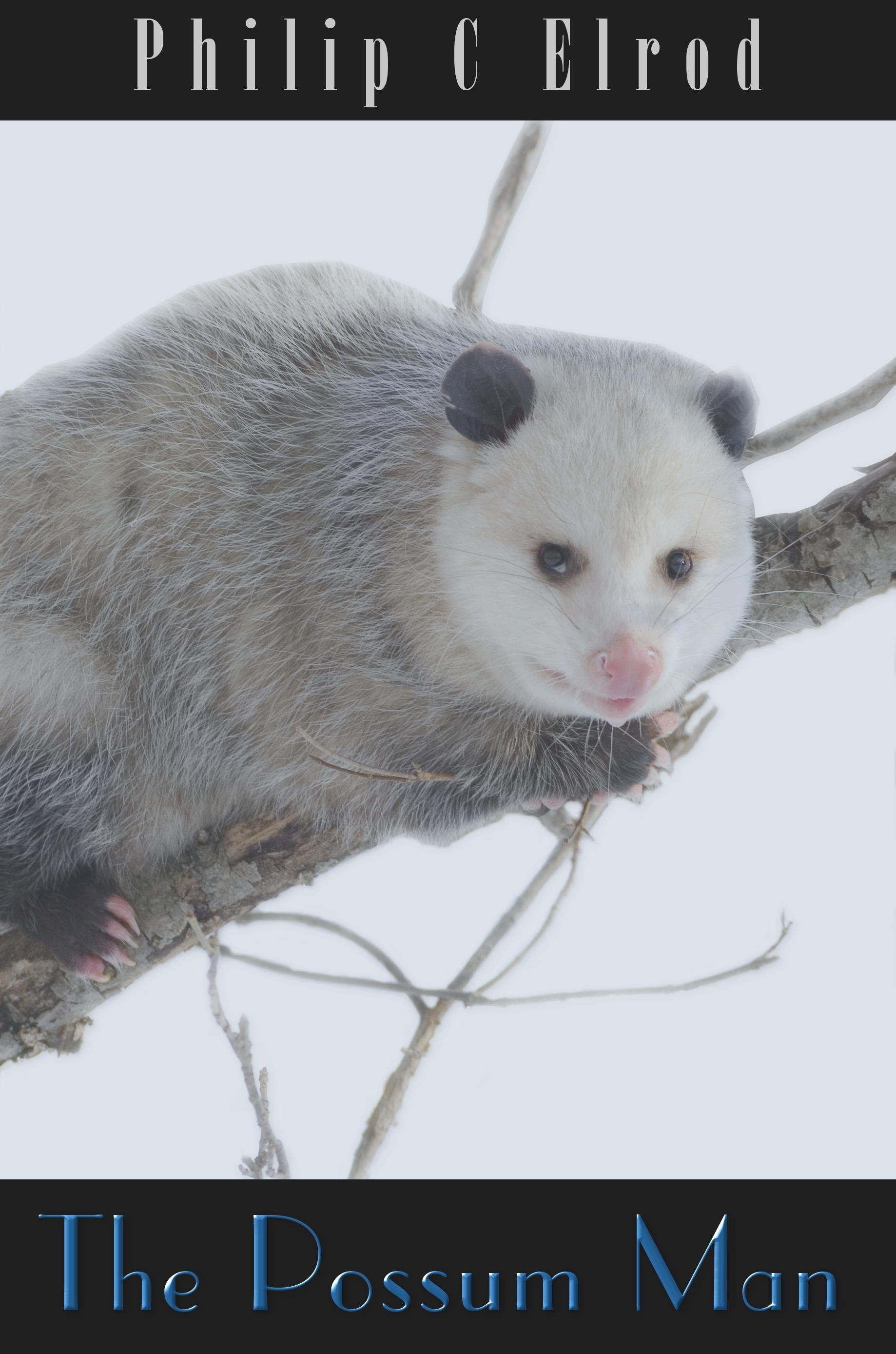 The Possum Man by Philip C. Elrod | Goodreads