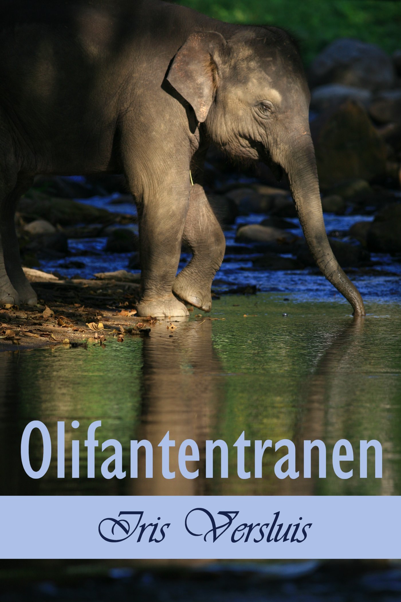Olifantentranen by Iris Versluis | Goodreads