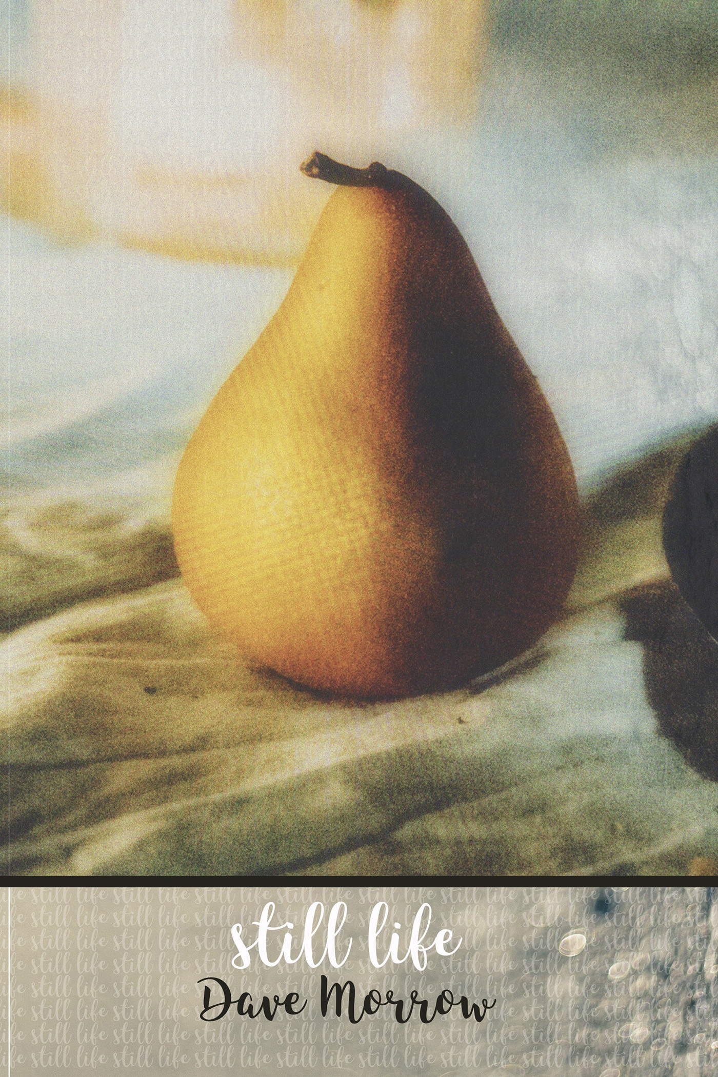 Still Life by Dave Morrow | Goodreads