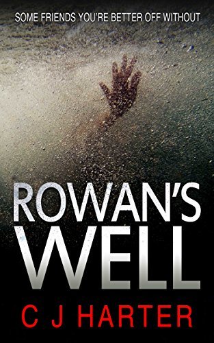 Rowan's Well: : a gripping psychological thriller with a killer twist ...