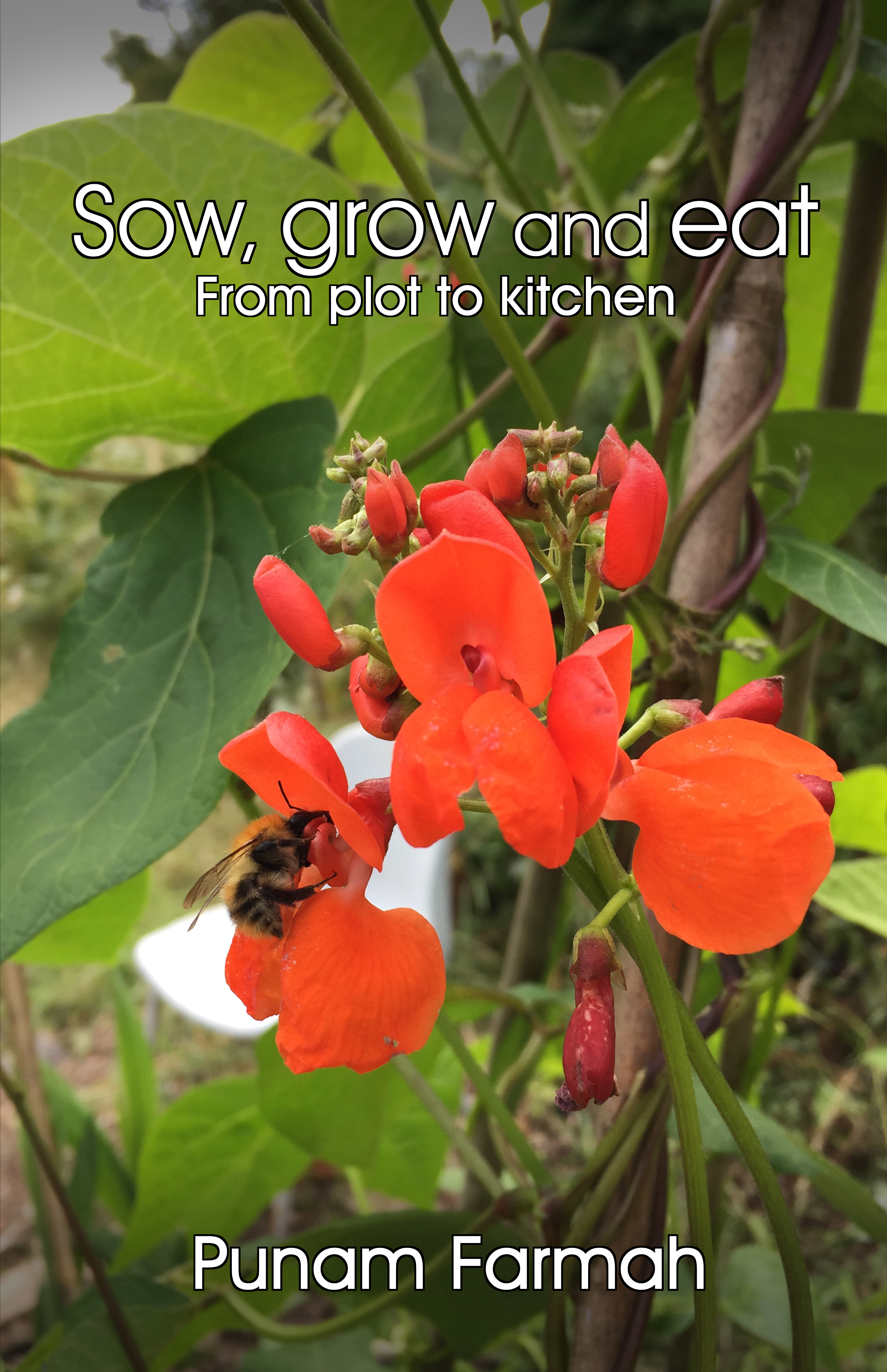 Sow, Grow and Eat: From Plot to Kitchen by Punam Farmah | Goodreads