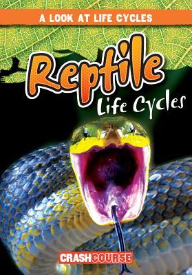 Reptile Life Cycles (Look at Life Cycles) by Bray Jacobson | Goodreads