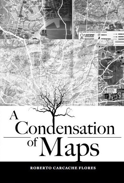 A Condensation of Maps by Roberto Carache Flores | Goodreads