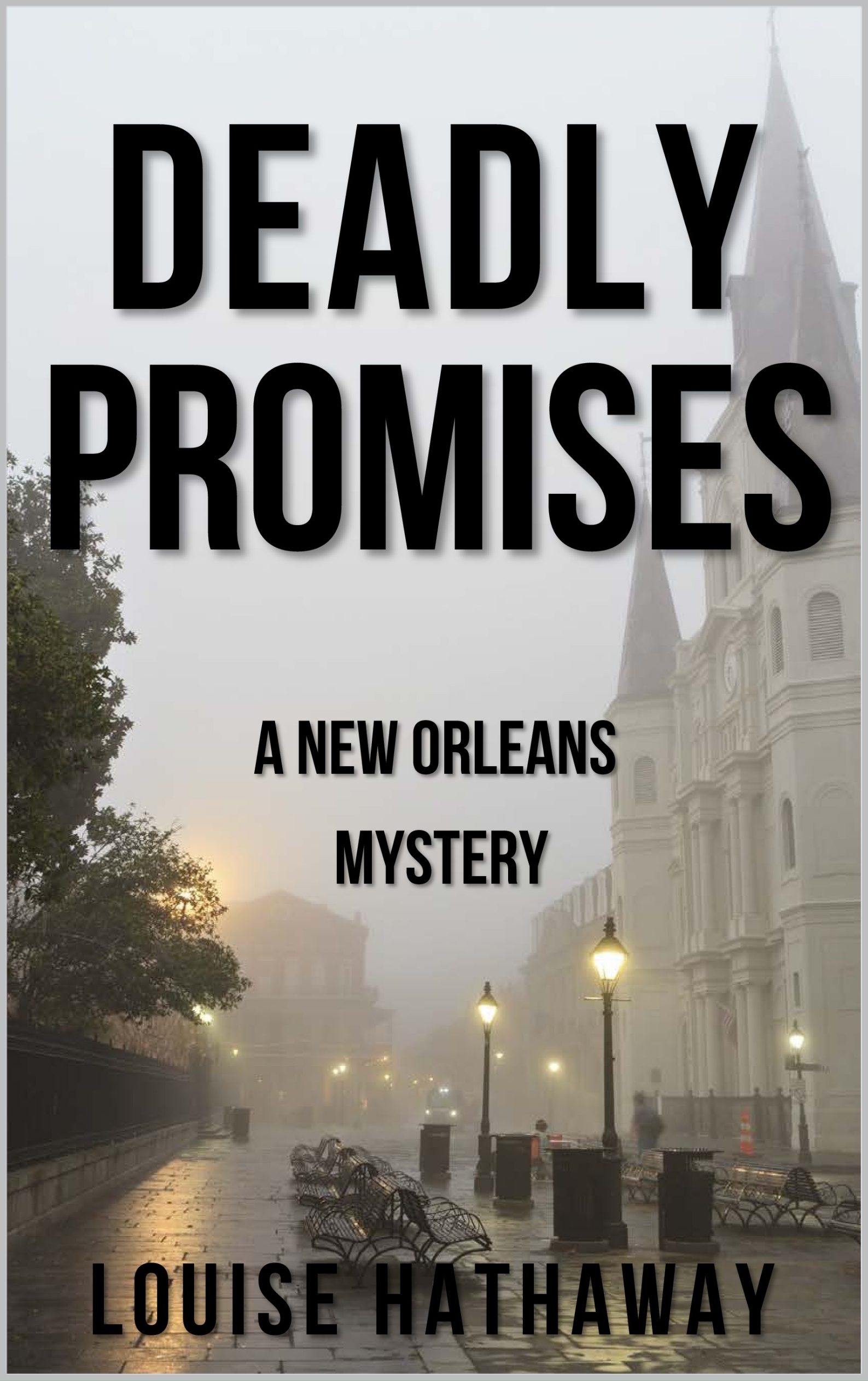Deadly Promises: A New Orleans Mystery by Louise Hathaway | Goodreads