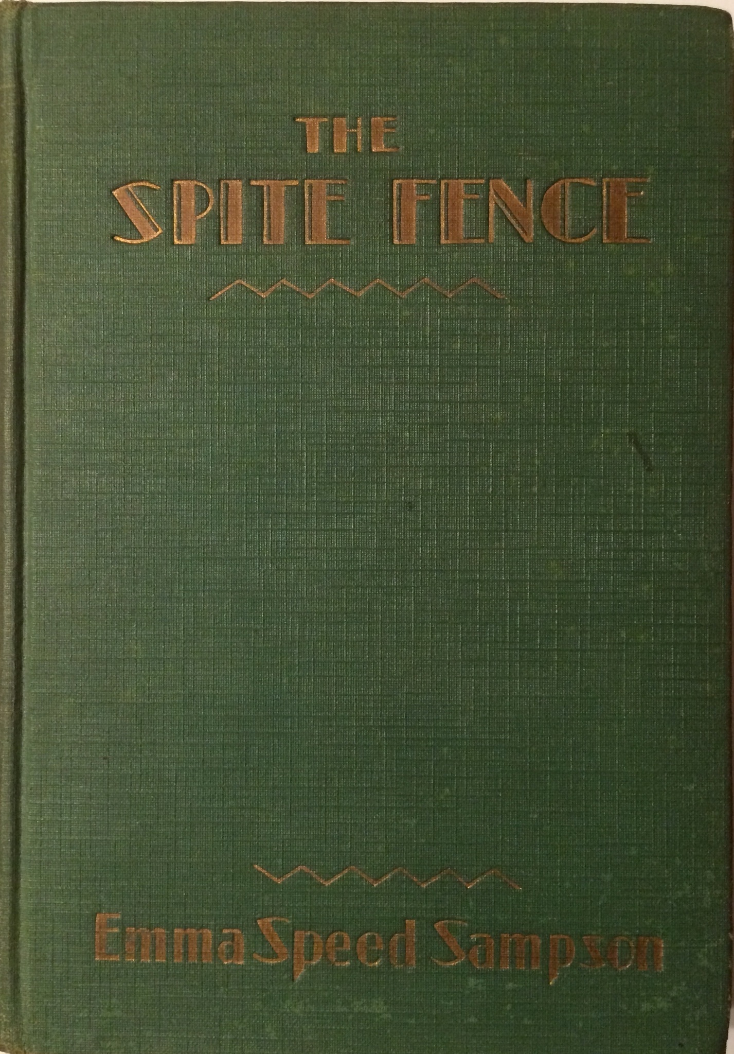 The Spite Fence by Emma Speed Sampson | Goodreads