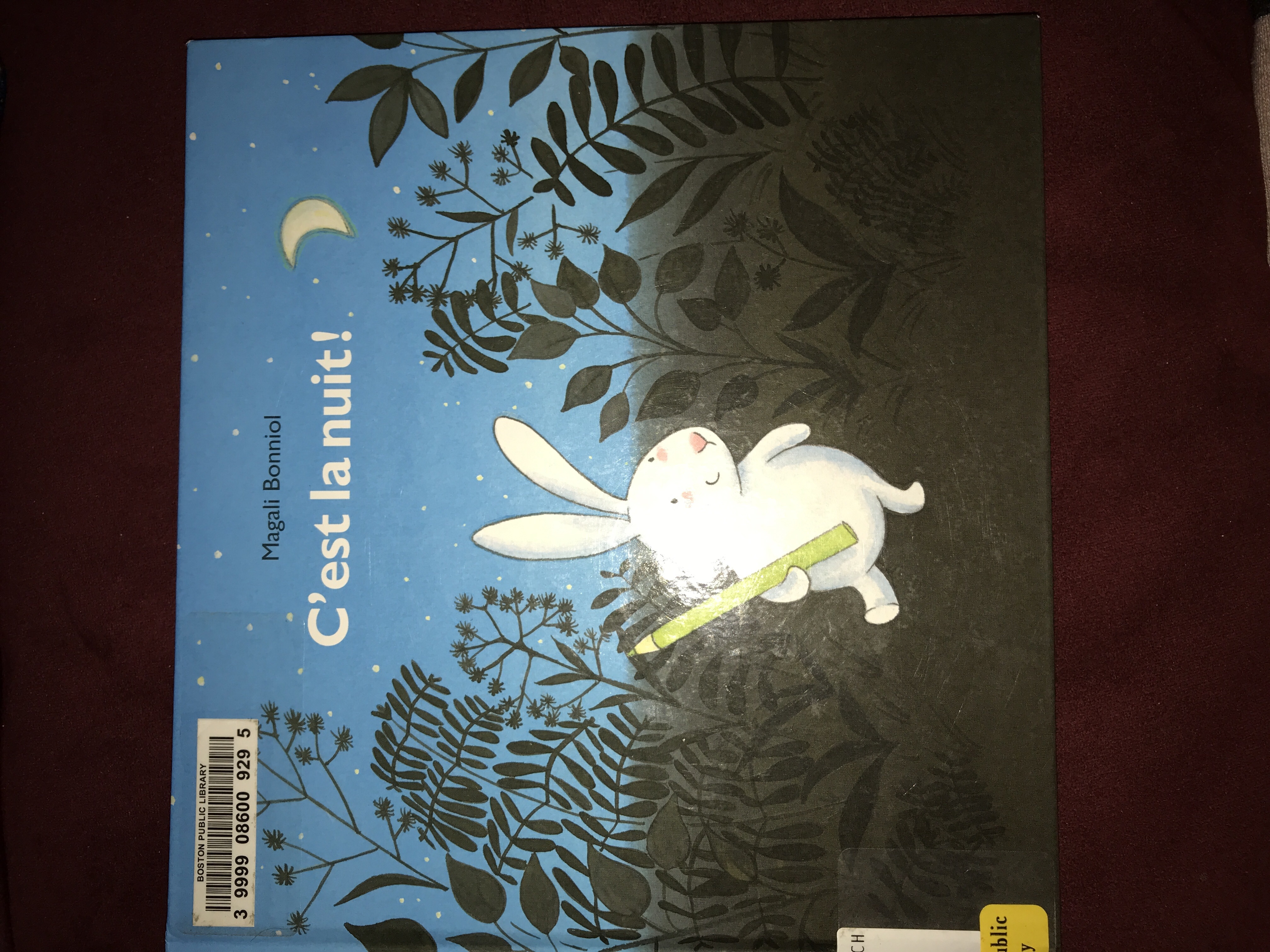 C’est la nuit by Magali Bonniol | Goodreads