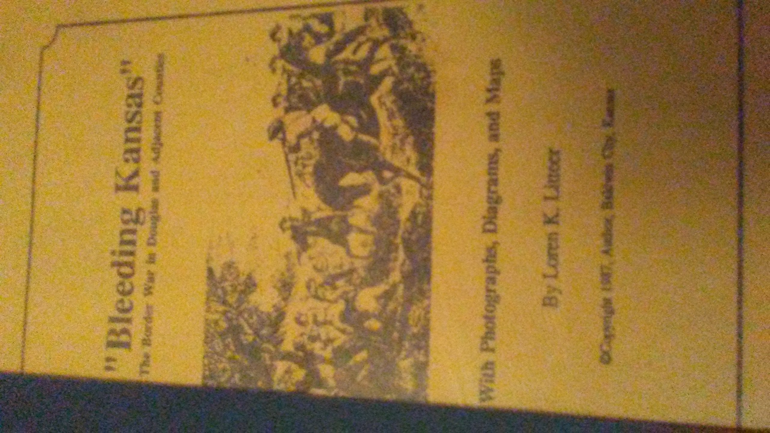 Bleeding Kansas: The Border War in Douglas and Adjacent Counties by ...