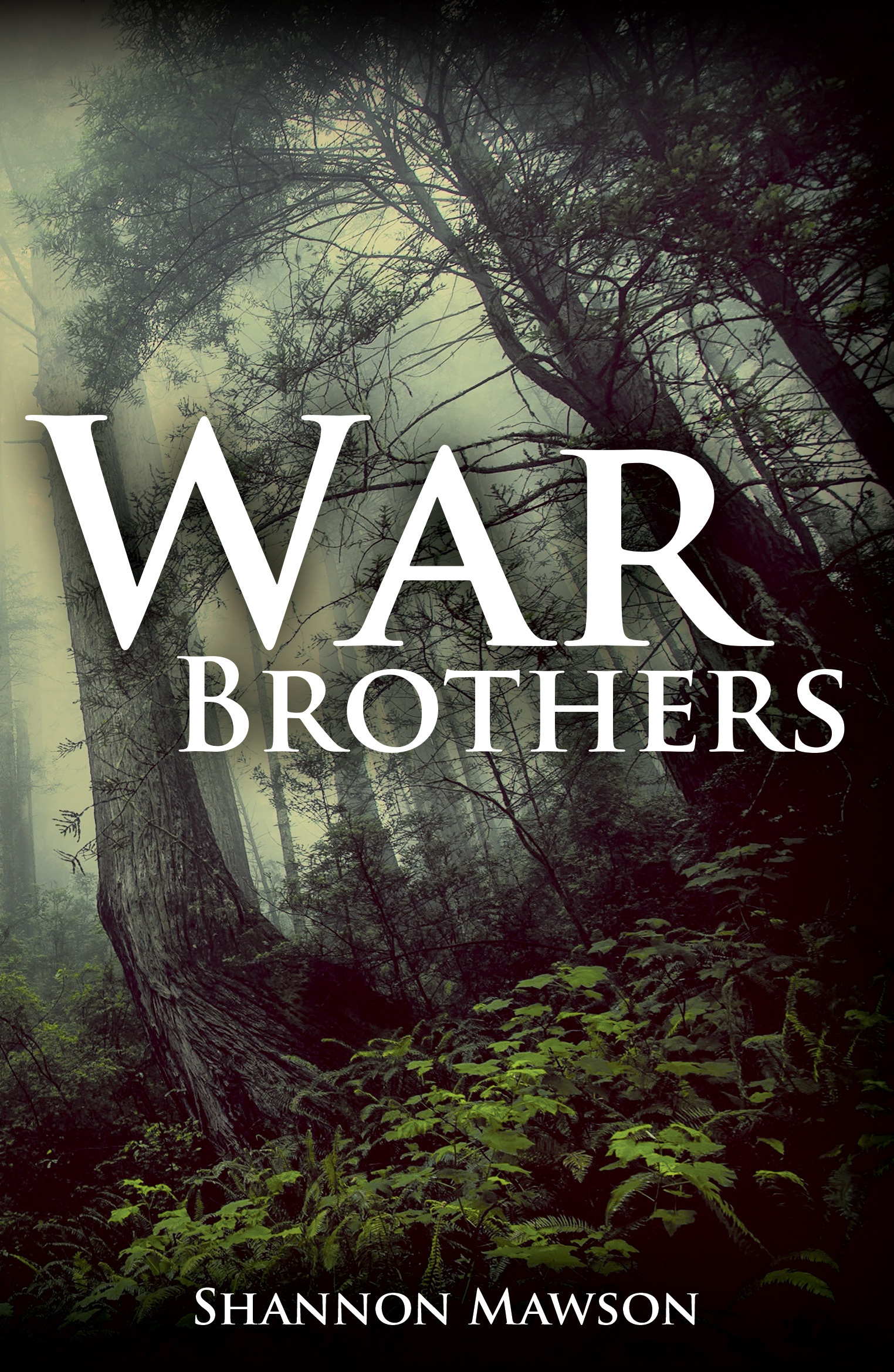 War Brothers by Shannon Mawson | Goodreads
