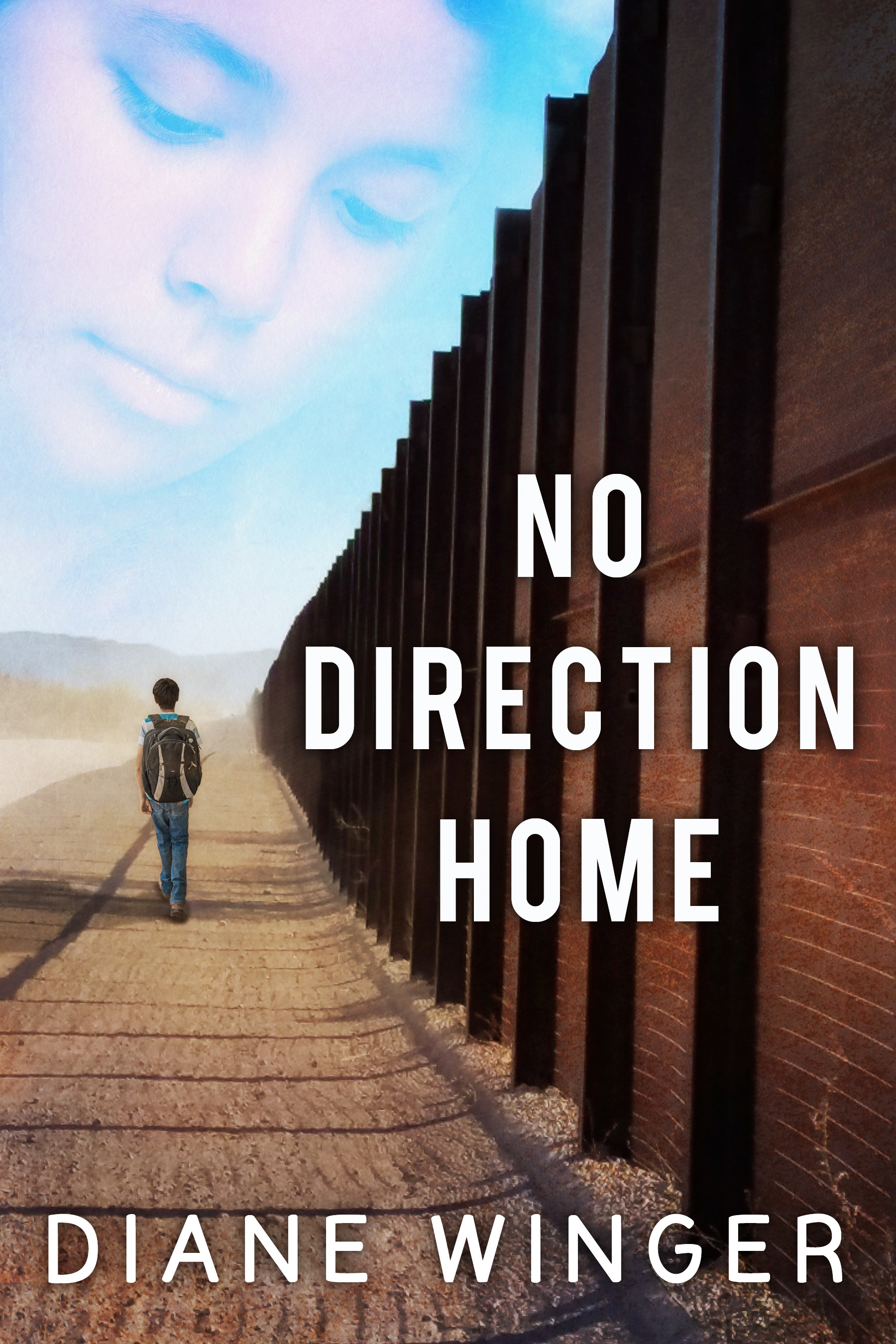 No Direction Home by Diane Winger | Goodreads