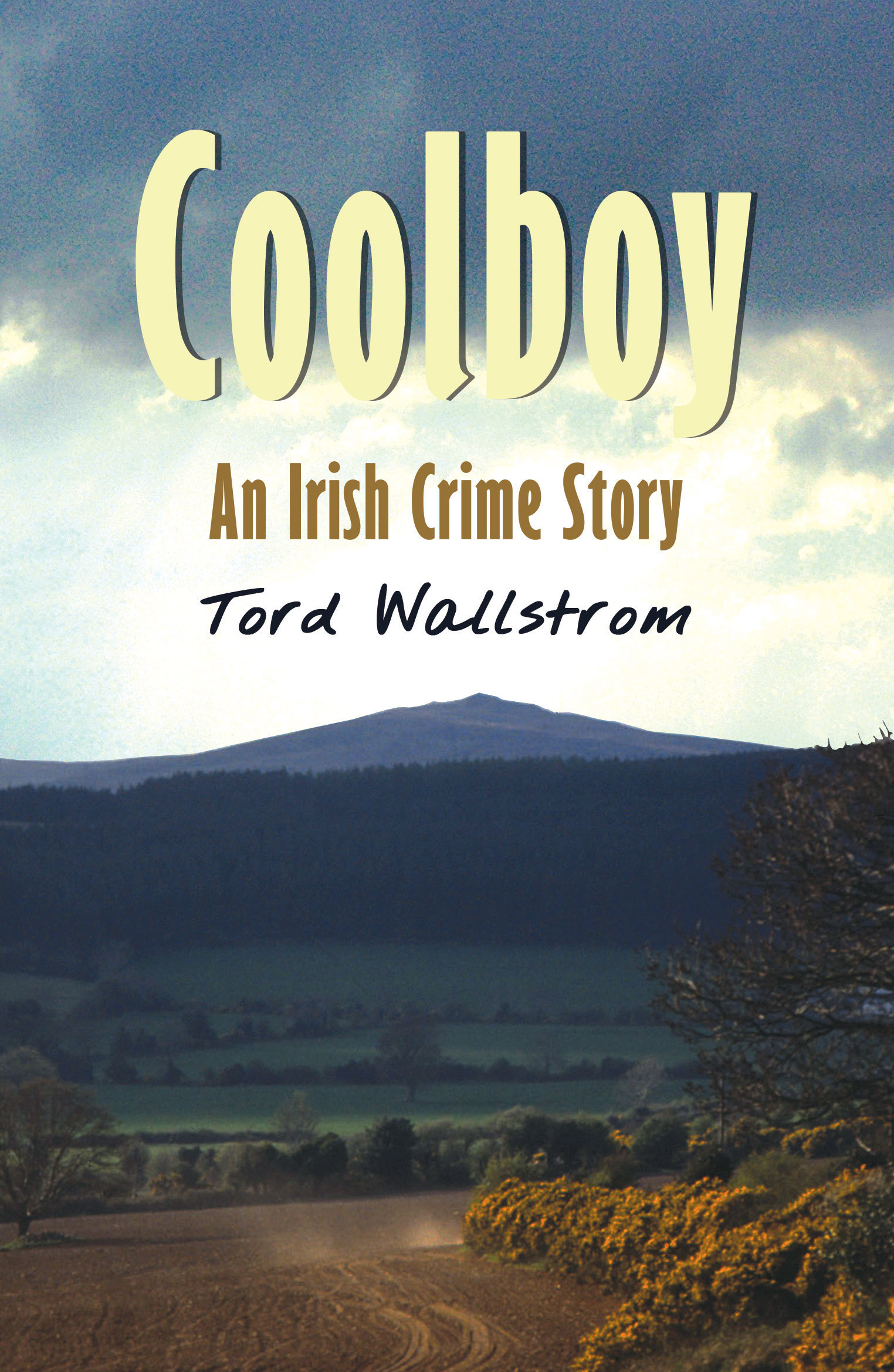 Coolboy by Tord Wallstrom | Goodreads
