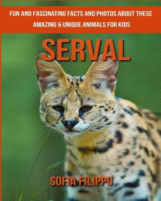 Serval: Fun and Fascinating Facts and Photos about These Amazing ...
