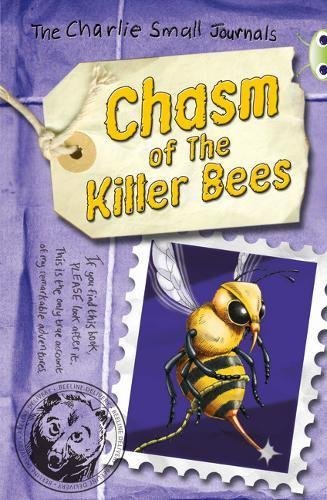 Bug Club Independent Fiction Year 4 Grey B Charlie Small: The Chasm of ...