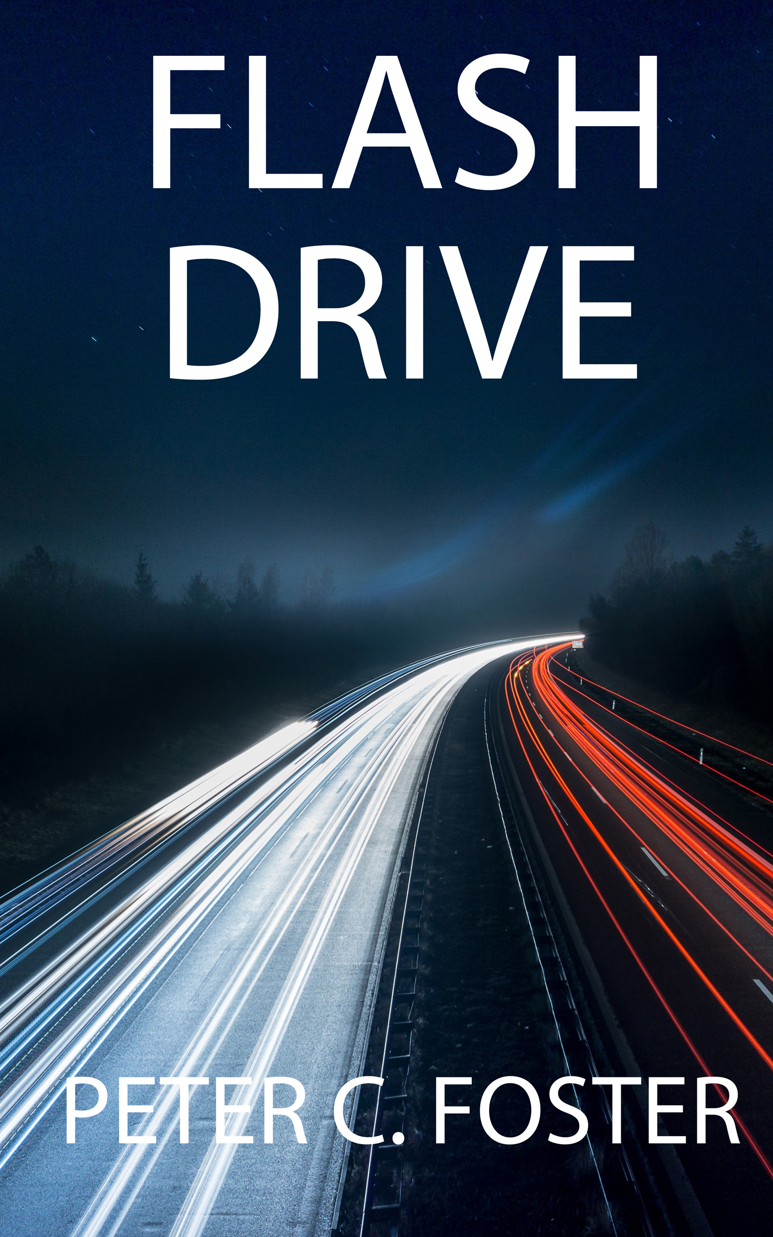 Flash Drive by Peter C. Foster | Goodreads