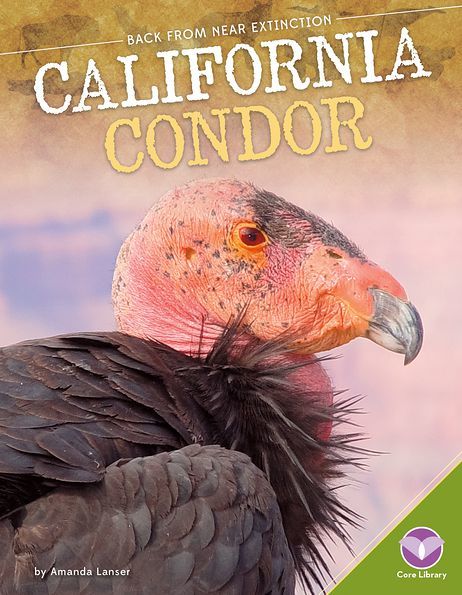 California Condor (Back from Near Extinction) by Amanda Lanser | Goodreads