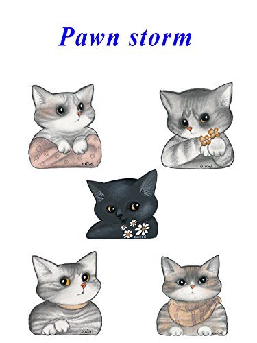 Pawn Storm, a Chess Primer: A devastating, but difficult Attack by ...