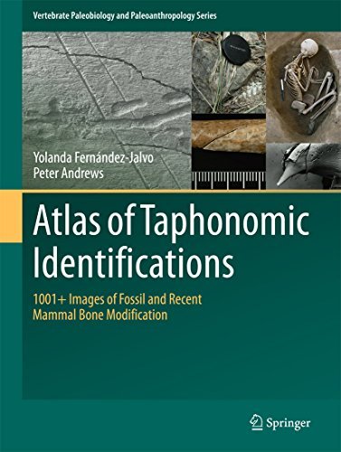 Atlas of Taphonomic Identifications: 1001+ Images of Fossil and Recent ...