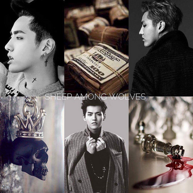 Sheep Among Wolves (Sheep Among Wolves, #1) by MissOh | Goodreads