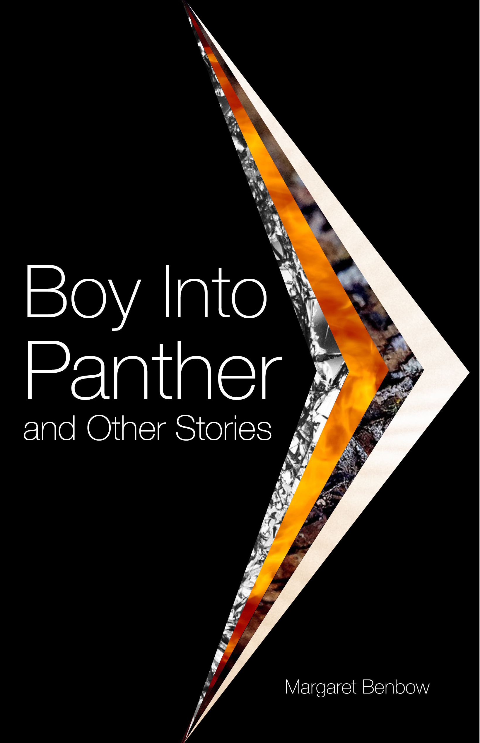 Boy into Panther and Other Stories by Margaret Benbow | Goodreads