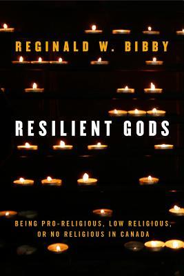 Resilient Gods: Being Pro-Religious, Low Religious, or No Religious in ...
