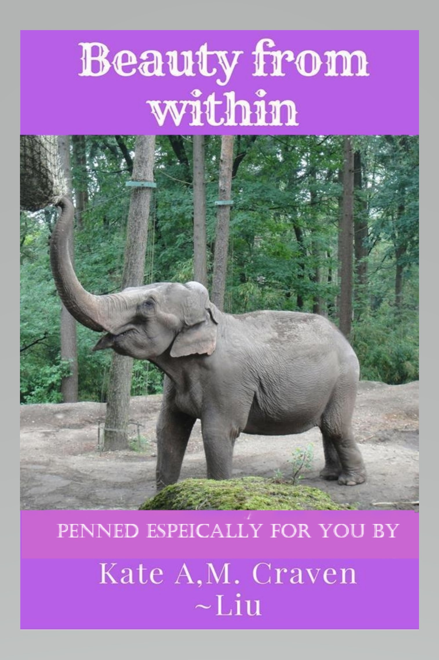 Beauty from within by Kate Angelica Marie Craven Liu | Goodreads